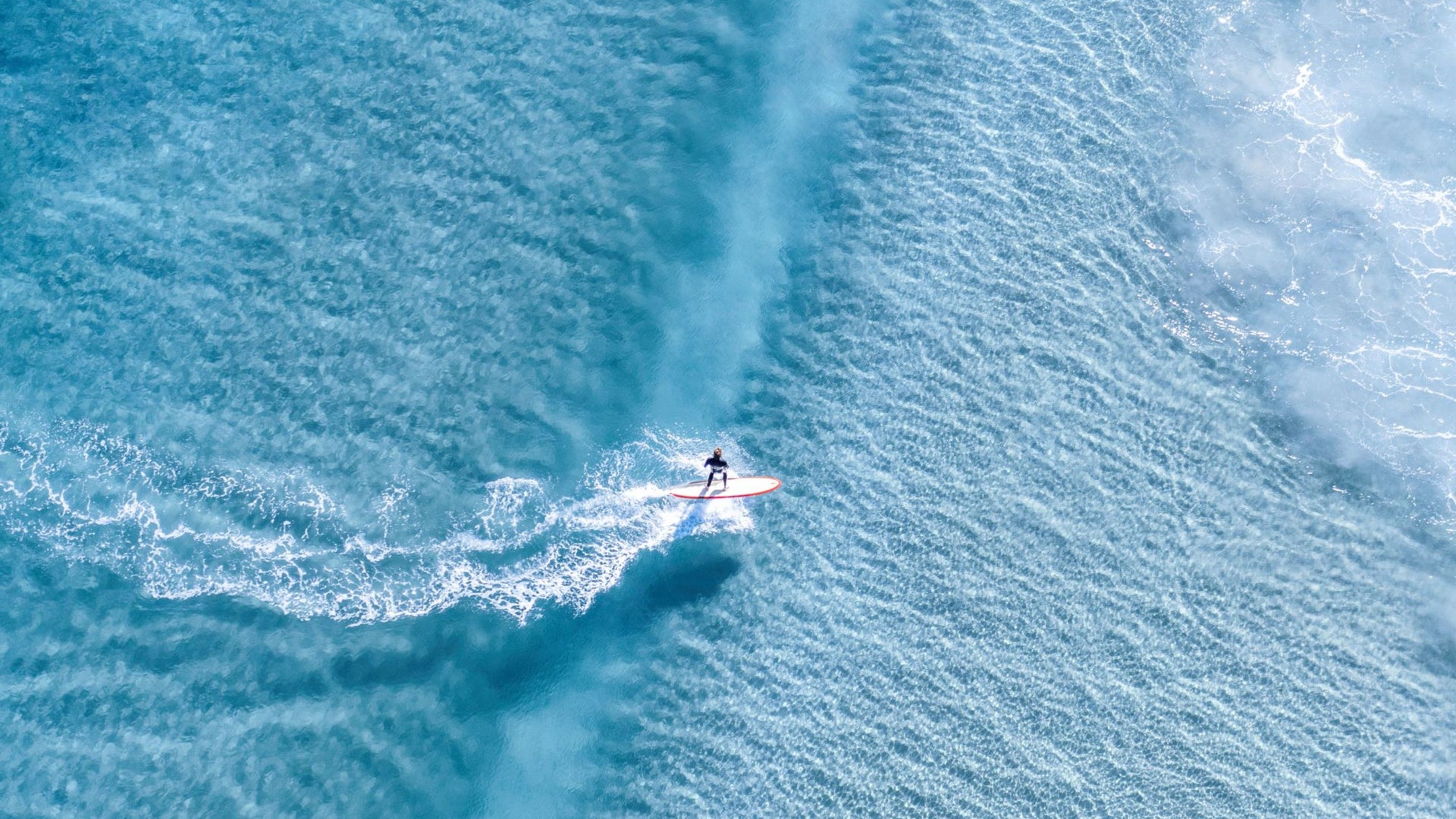 Reef Club Rewards – Long Reef Surf Co