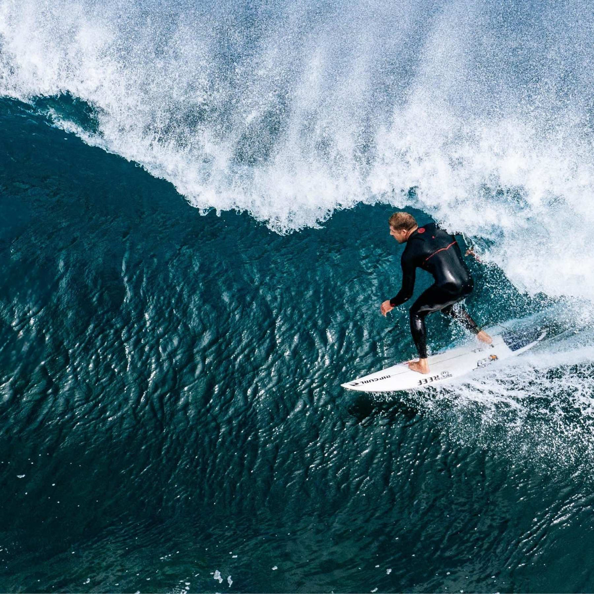 Long Reef Surf Shop - Northern Beaches – Long Reef Surf Co